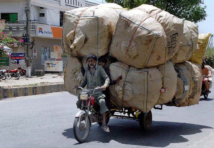 Motorcycle carts on their way loaded with tree laden