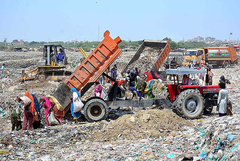 SSWMB workers busy dumping garbage in dumping garbage area at Latifabad