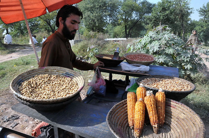 A vendor roasting corn cobs for customers at his roadside setup