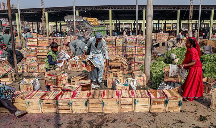 Laborers women packing the tomatoes in the wooden boxes at Vegetable market