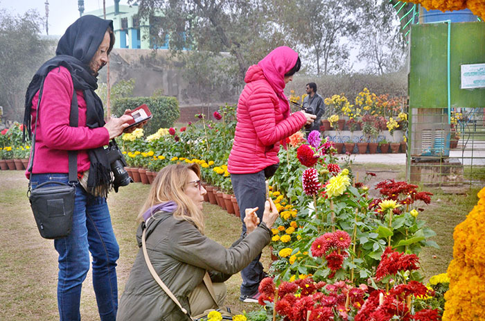 Visitor taking a keen interest in flowers during the annual Gul Dawoodi flower show at Qila ...