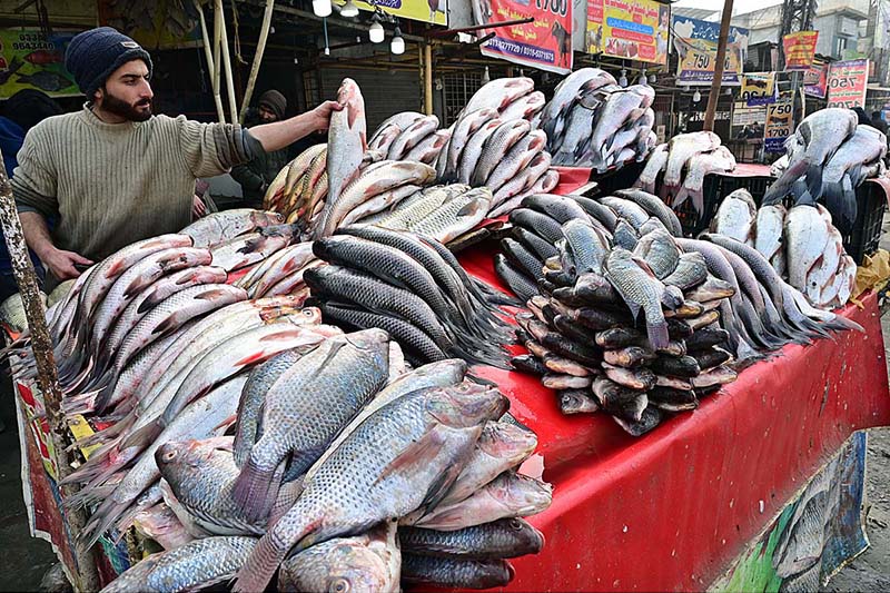 A vendor displaying fresh fish to attract the customers on his cart in Federal Capital