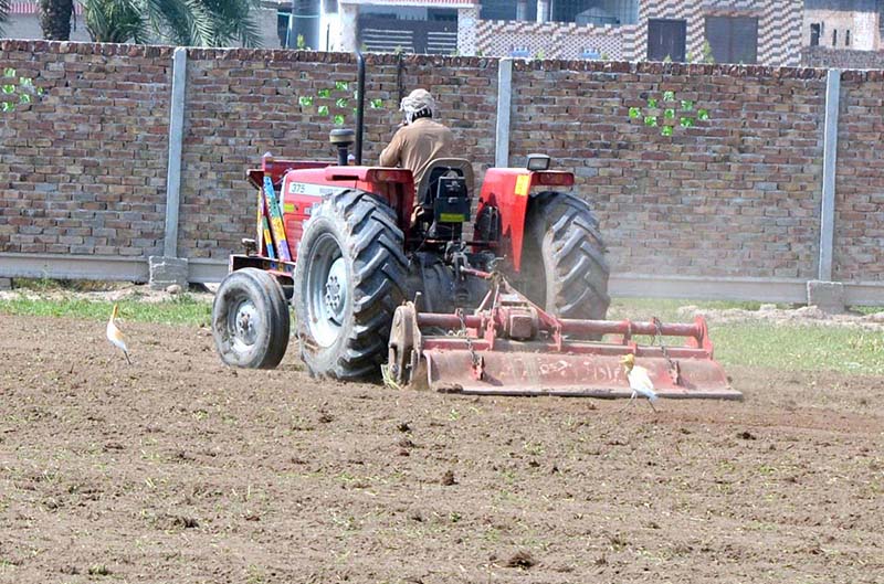 Farmer busy in leveling his farm field with the help of tractor for the next crop.