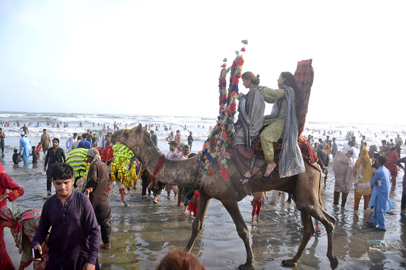 A camel being lifted by crane for sacrifice on the third day of Eidul Azha