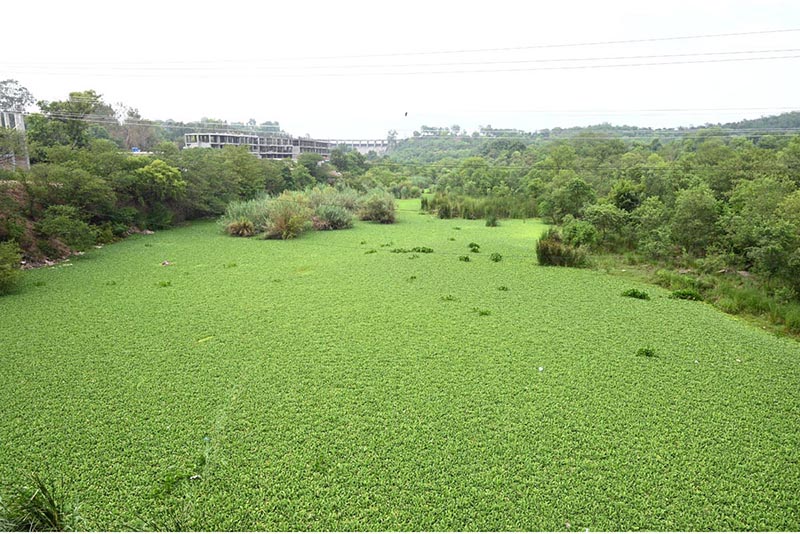 A mesmerizing and eye-catching view of Rawal Dam where the surface of ...
