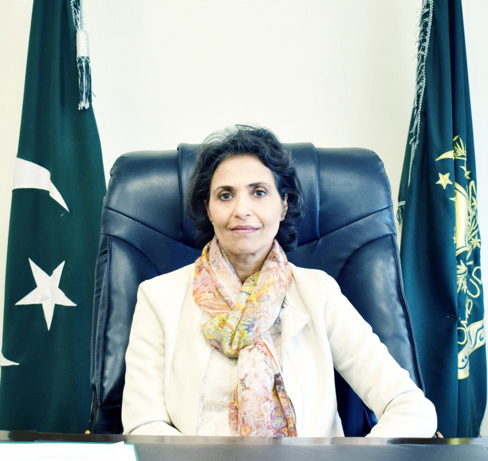 FOSPAH striving for gender equality, human dignity: Fauzia Viqar