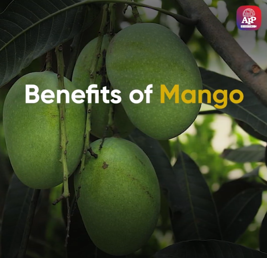 Benefits Of Mango