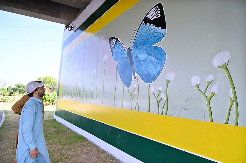 Passers by looking at the wall painting at Rawal Chowk Interchange