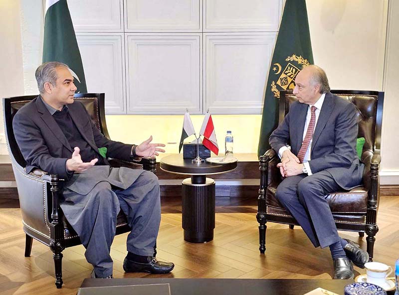 Federal Minister for Interior Mohsin Naqvi in a meeting with ...