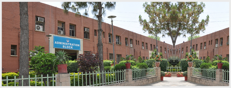 HMC provides medical care to over eight million patients in 2024