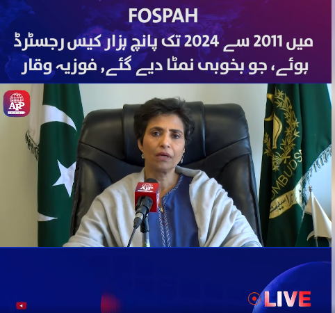 From 2011 to 2024, 5000 cases were registered in FOSPAH, which were ...