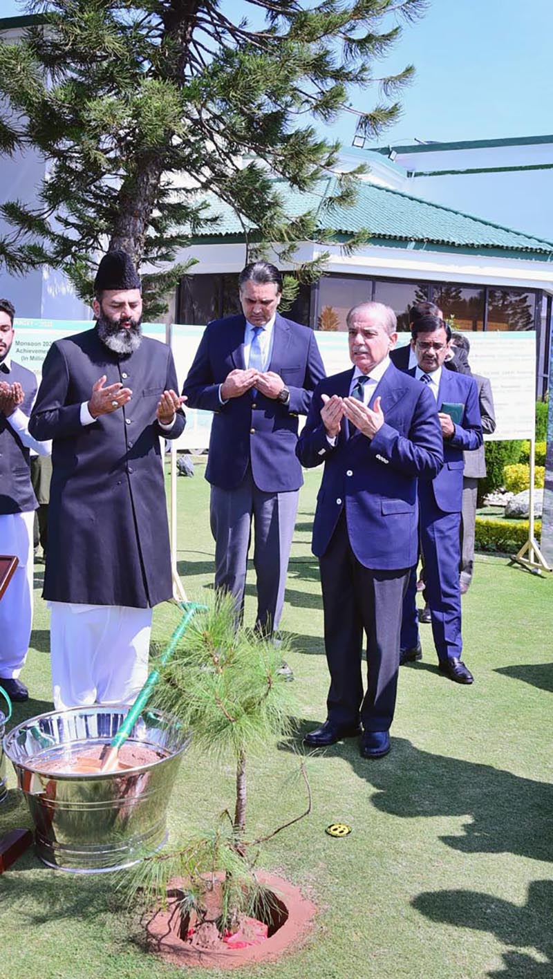 Prime Minister Muhammad Shehbaz Sharif plants a sapling of Chir Pine to ...
