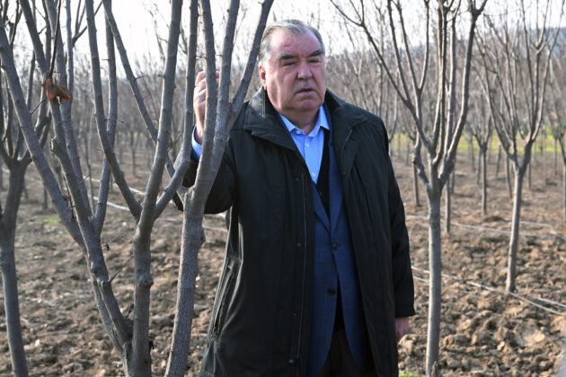 President Emomali Rahmon briefed on growth of rare plants in “Green ...