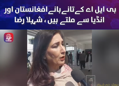 BLA have connections with Afghanistan and India: Shehla Raza