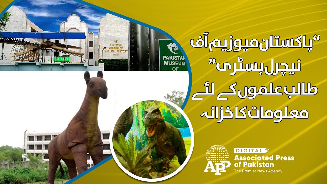 Pakistan Museum of Natural History in Islamabad showcases the country's ...