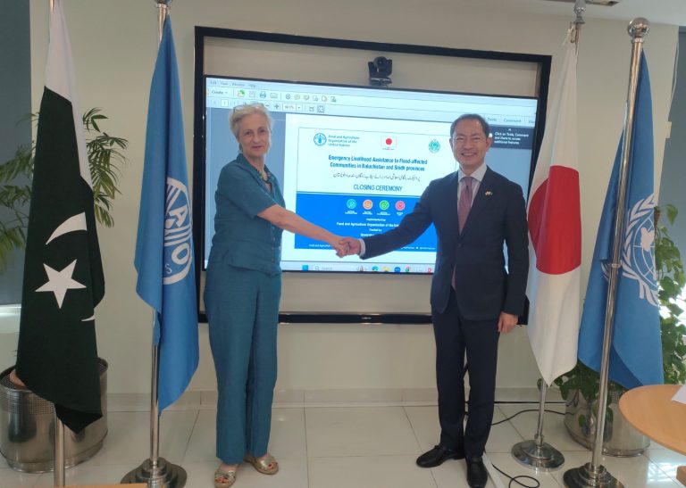 Japan-Funded FAO project revives farming & livestock in flood-hit areas ...