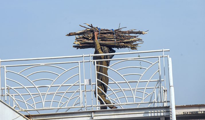 A person carries a bundle of dry tree branches while crossing the ...