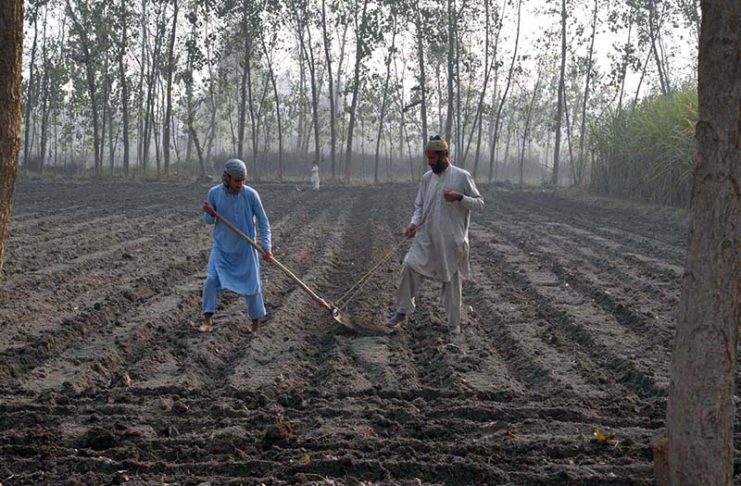 Farmers are busy ploughing their fields by hand using the old manual ...